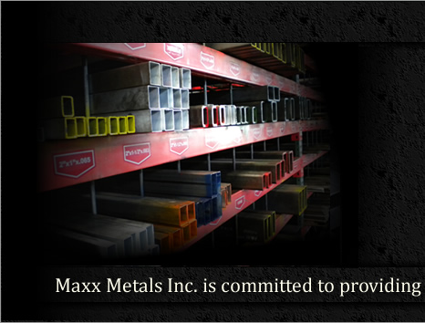 Maxx Metals